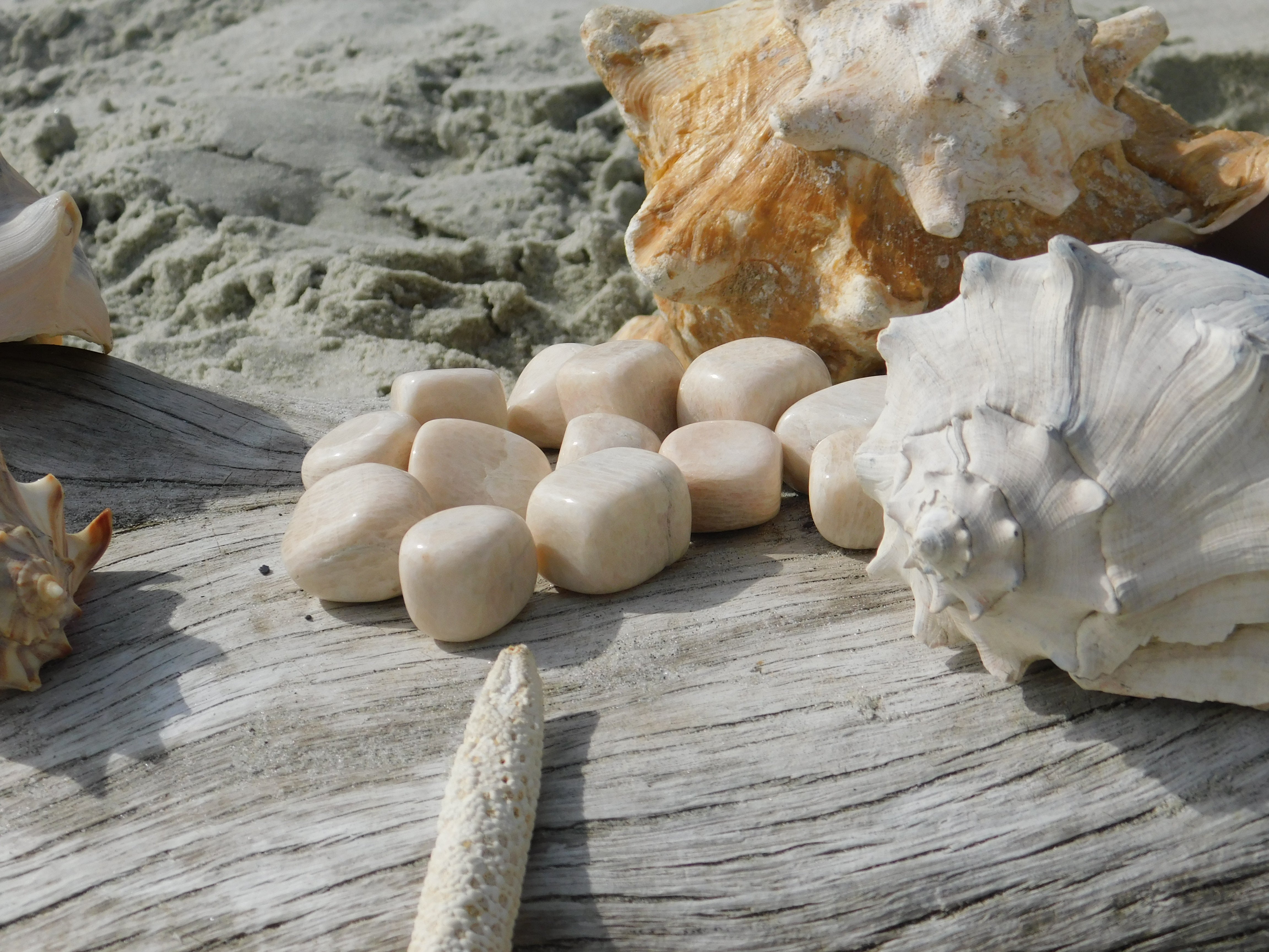 Willow & Jade – Willow & Jade