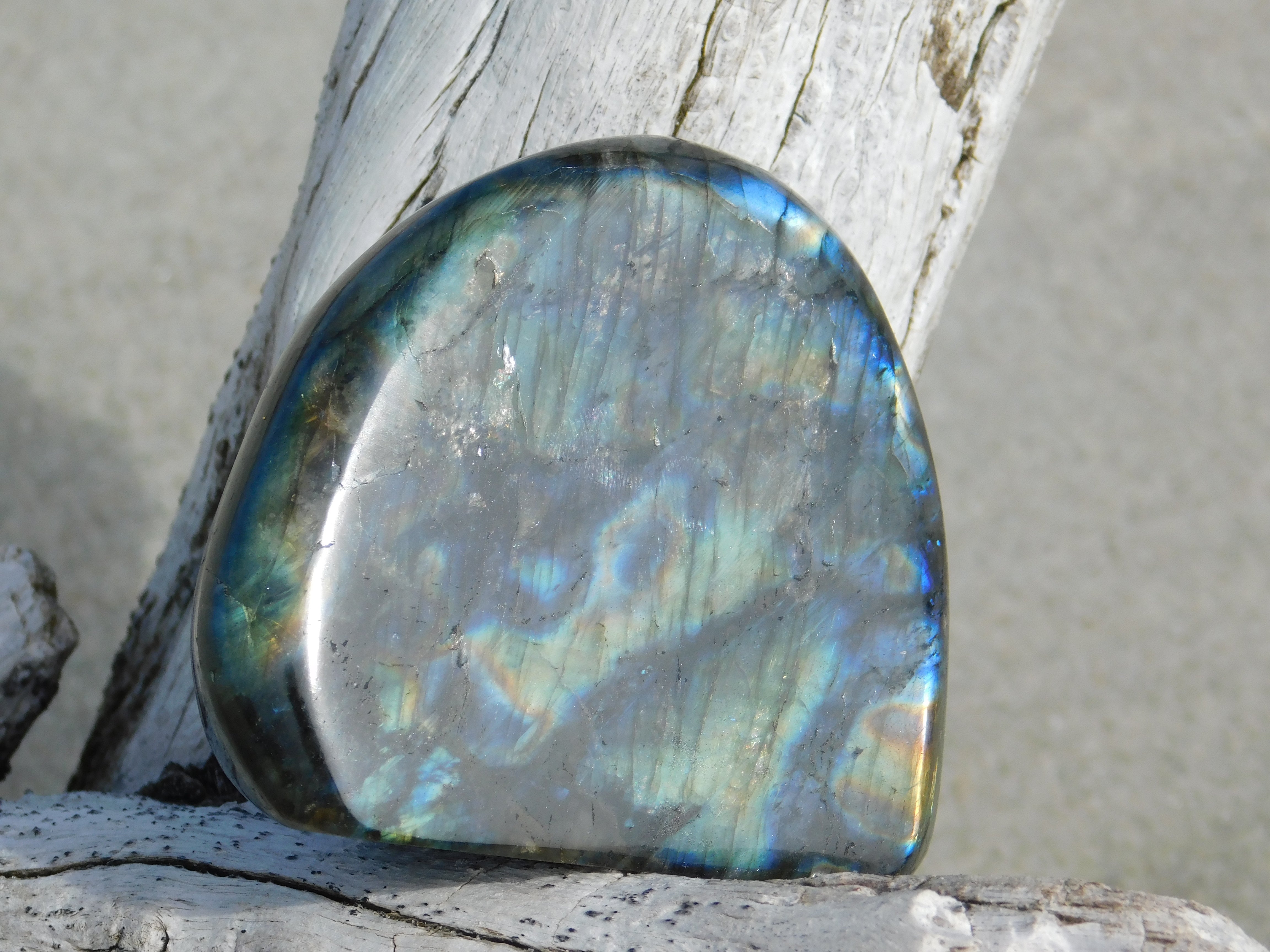 FREE FORMS – Willow & Jade